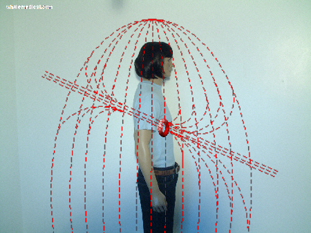 The Assemblage Point Centre - The Original Web Site